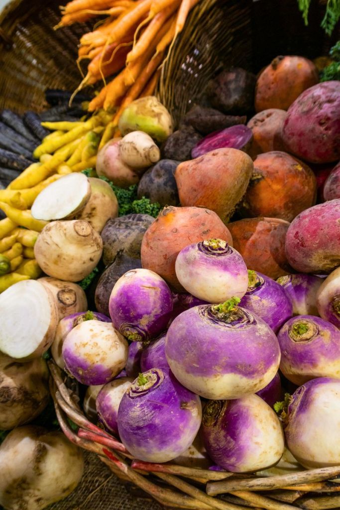 Vegetables To Plant in the Fall - Santa Rosa Homestead