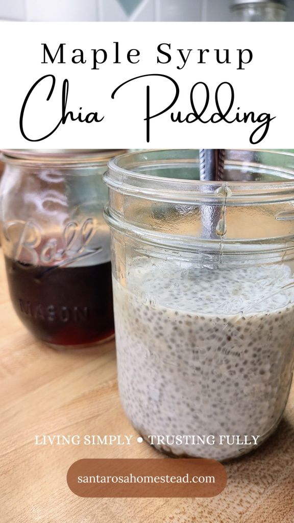 Quick and Easy Maple Syrup Chia Pudding - Santa Rosa Homestead