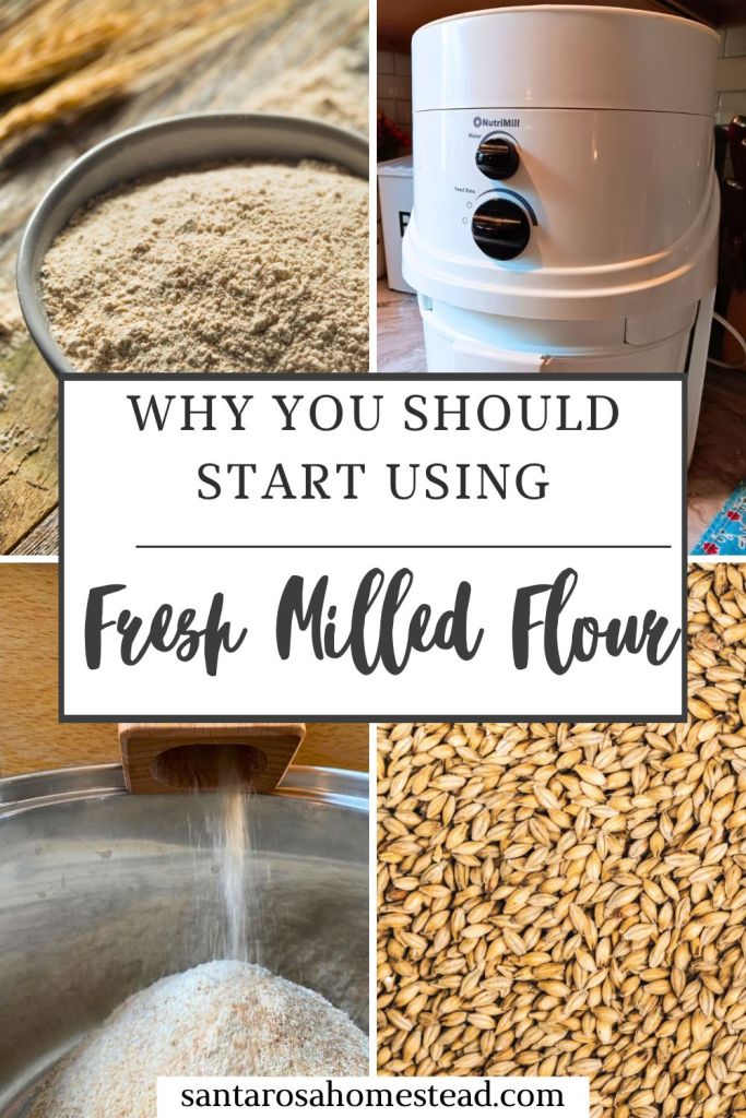Why You Should Start Using Fresh Milled Flour Now - Santa Rosa Homestead