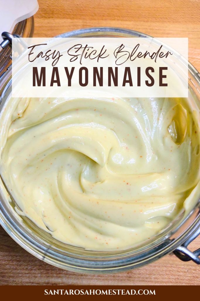 Easy Homemade Mayonnaise Recipe: Made From Scratch in Minutes! - Santa ...