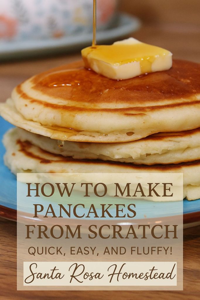 How to Make Pancakes from Scratch – Quick, Easy, and Fluffy! - Santa ...
